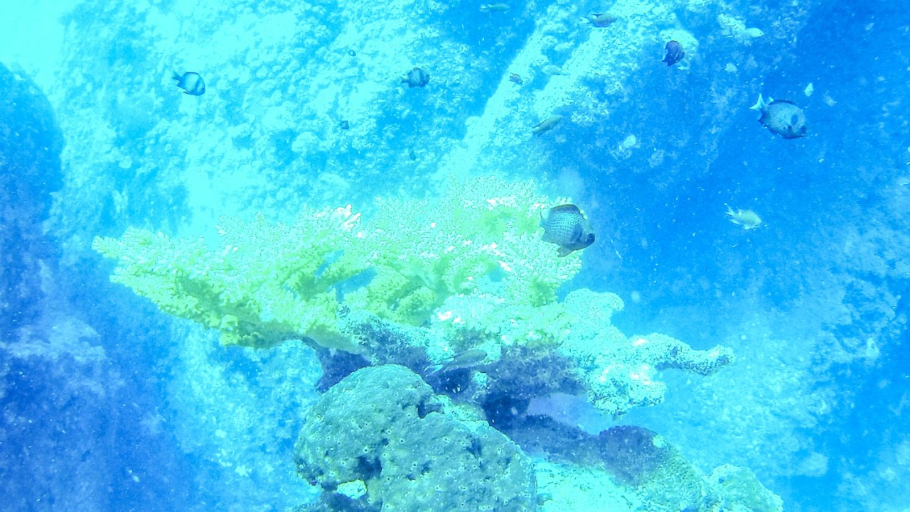Learning to Dive in the Perhentian Islands: One of the Cheapest PADI ...
